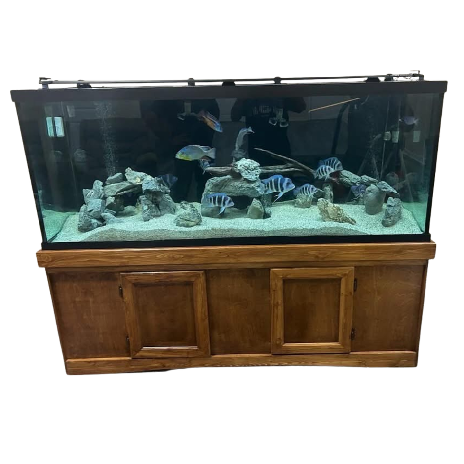 Aquariums, Kits & Stands