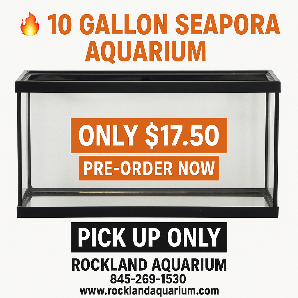 Seapora - Standard Aquarium - 10 gallons - 20" x 10" x 12"
